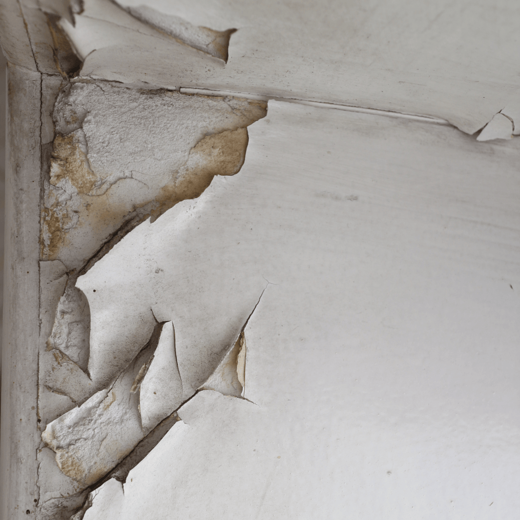 What's Causing My Interior Paint to Peel? 8 Common Problems & Their Fixes