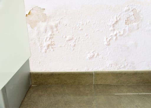Peeling Paint Problems? Here’s How to Deal With Them